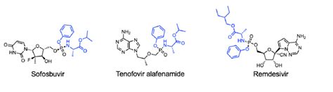 Fda Approved Mcguigan Prodrugs Promoieties Are Indicated In Blue