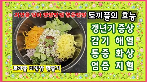토끼풀의 효능을 담은 영양만점 행운만땅 네잎클로버 비빔밥 • 토끼풀 비빔밥 • 클로버 비빔밥 Youtube