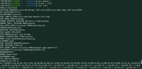 Seed Softwarelab Environment Variable And Setuid Sung S Blog