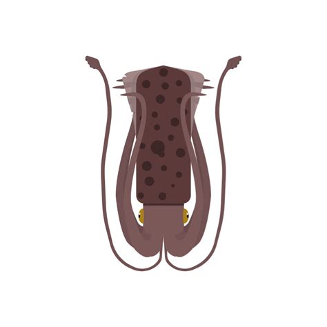 Triassic Kraken V2 I Dont Really Like It But I Had To Kinda Rush It