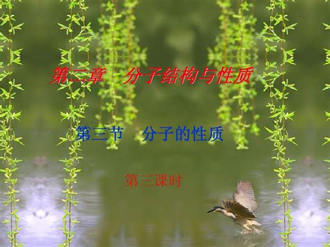 第二章第三节分子的性质第三课时 Word文档在线阅读与下载 无忧文档