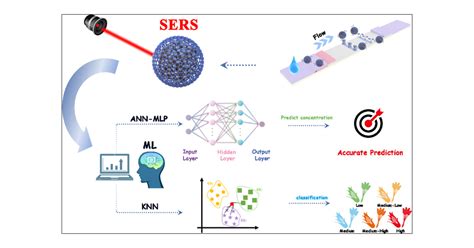 Dual Mode Colorimetricsers Lateral Flow Immunoassay With Machine