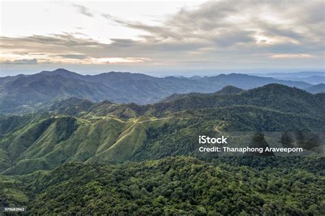 鳥瞰雨林的薄霧和陽光在清晨 自然的高山與雲和天空的看法驚人的自然景觀飛行無人駕駛飛機的鳥瞰圖 照片檔及更多 亞洲 照片 亞洲 側影 光
