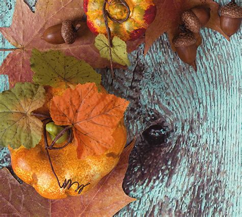 Fun Creative Wax Scent Mixes And Fragrance Recipes Scentsy Blog