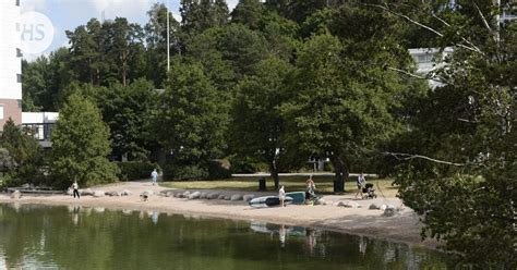 Blue Green Algae Blue Green Algae Detected At Several Beaches In The