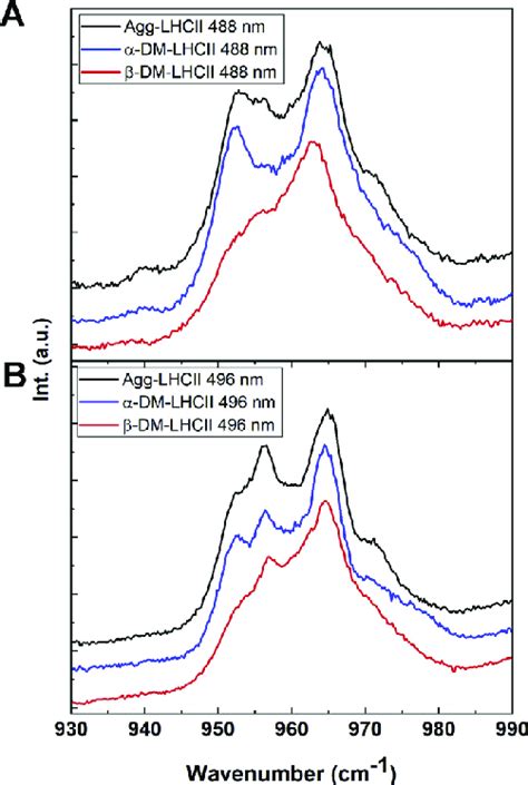 ν 3 Region Of Lhcii Resonance Raman Spectra Of Lhcii Resonance Raman