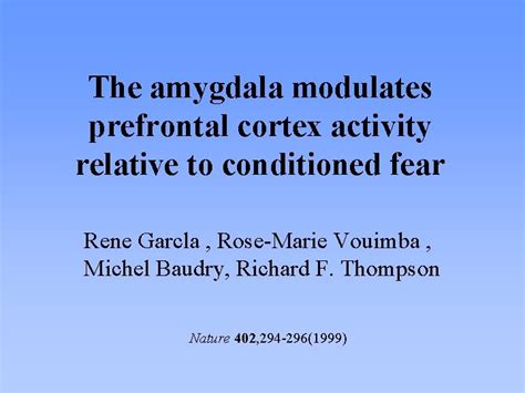 The Amygdala Modulates Prefrontal Cortex Activity Relative To