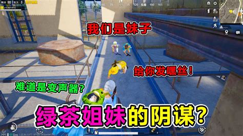 搞笑吃鸡：绿茶姐妹为上分狂飙演技，主播心软放过，竟被疯狂辱骂 高清1080p在线观看平台 腾讯视频