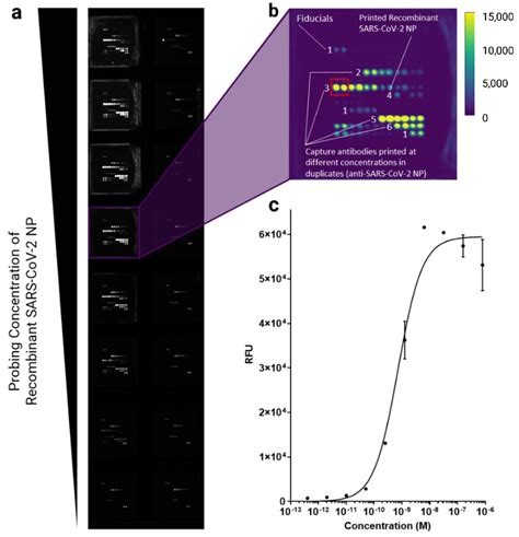 Biomedicines Free Full Text A Protein Microarray Based Respiratory