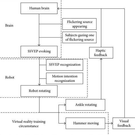 Information Transmission Loop Ssvep Signals Are Evoked In Brains When Download Scientific