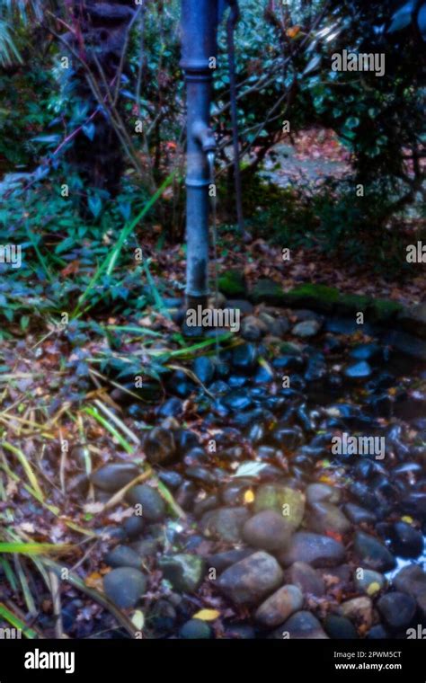 Pinhole Photography Woodland Seriesnew Age Defying Lensless Stand