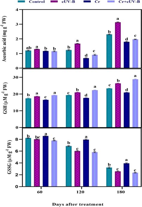 Ascorbic Acid Asa Reduced Glutathione Gsh And Oxidized