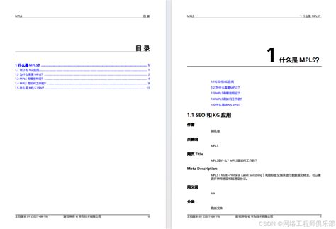 怎么理解vrf虚拟路由转发？这个例子看过的网工都说牛逼 Csdn博客