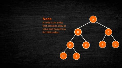Tree Data Structure Basics And Fundamentals Pptx