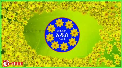 Hamelmal Abate ሀመልማል አባተ አዲስ ዓመት YouTube