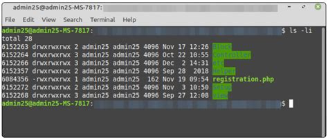 Easy Fixes For Magentos 500 Internal Server Error