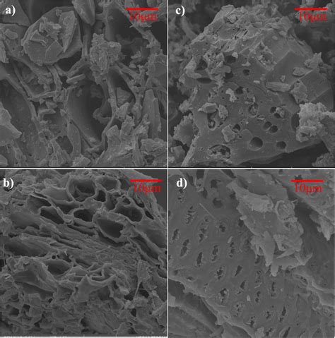 SEM Images Of The A PJB B PJB After Adsorption C PJB AC And Download Scientific