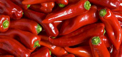 Paprika Queen Pepper – Life Seed