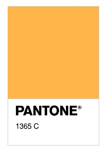 Colore Pantone® 1365 C Numerosamente It
