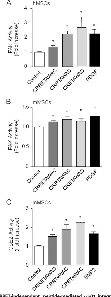Figure 2 From Wnt β Catenin Signaling Mediates Osteoblast Differentiation Triggered By Peptide