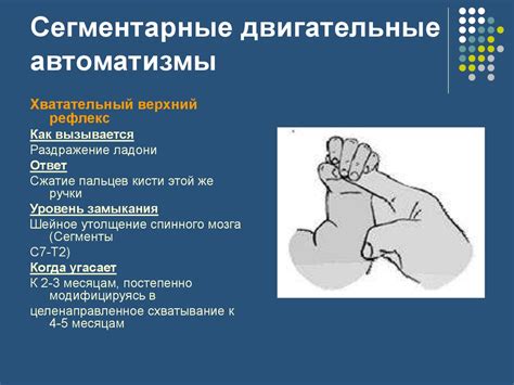Рефлексы новорожденных и детей первого года жизни презентация онлайн