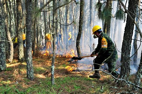 Reporta Conafor A La Fecha 107 Incendios Forestales Xeu Noticias