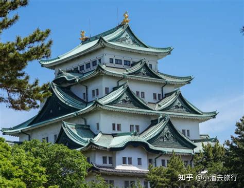 最贵航线！从上海到日本乘坐招商伊敦号邮轮，每人的价格3万元起 知乎