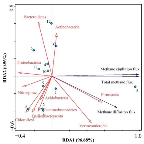 Diversity Mdpi On Linkedin Diversitymdpi Microbial Community