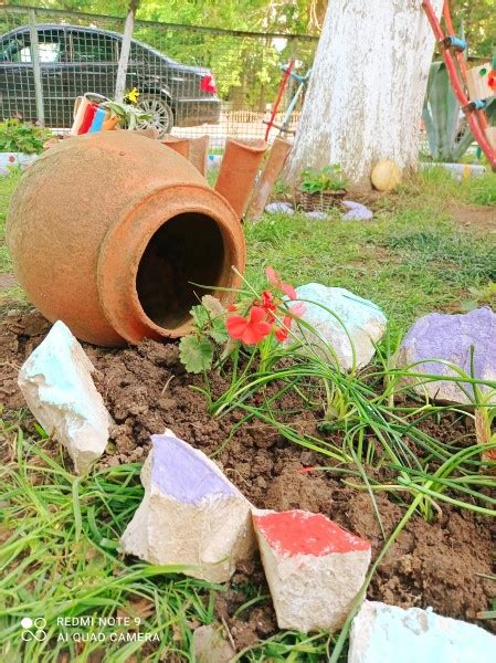 საოცარი დეკორაციები საბავშვო ბაღის ეზოდან რომელიც მეორადი მასალებით არის გაკეთებული