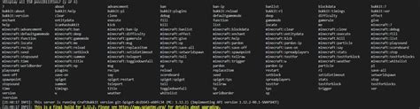 Linux控制台一些按键无法正常工作 Issue Luohuayu CatServer GitHub