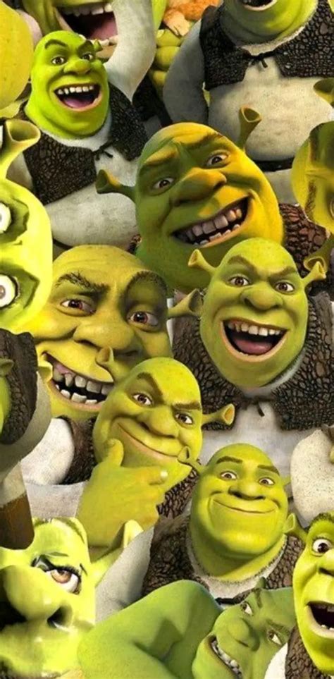 Shrek Aesthetic Wallpapers · 230 Backgrounds 🟢🔔🧅👑