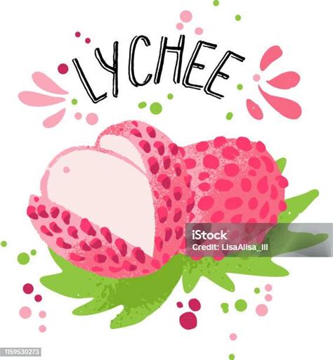 벡터 손 그리기 컬러 무화과 그림입니다 펄프와 과일 뼈와 녹색 잎 보라색 푸른 복숭아 흰색 배경에 무화과와 신선한 열대 과일 그림 건강한 생활방식에 대한 스톡 벡터 아트 및