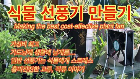 식물 선풍기 만들기 식물팬 통풍 Youtube