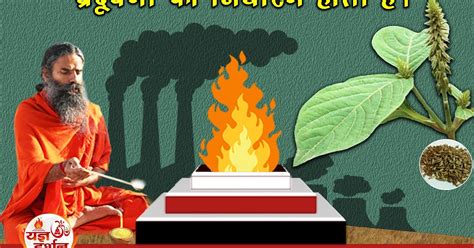 Yagya Apamarg अपामार्ग