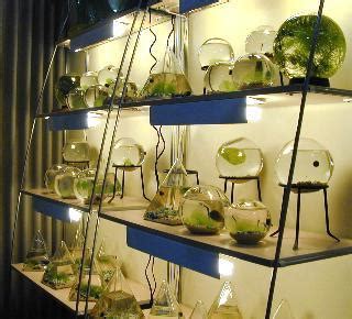 Bio-Sphäre, Kleinstaquarien mit Wirbellosen