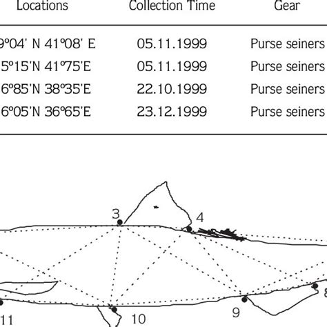 Location Sampling Gear And Biological Features Of Anchovy Samples Download Table