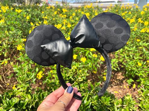 Minnie Mouse Ears Image