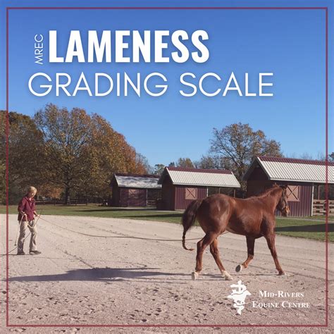 Horse Lameness Grading Scale Explained Mid Rivers Equine Centre In