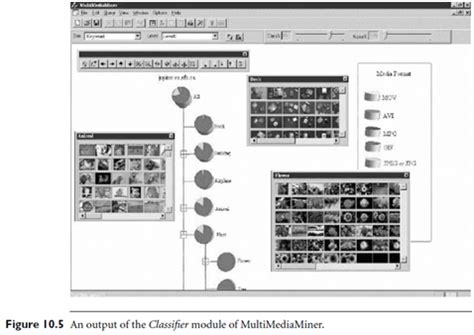 Multimedia Data Mining Data Mining Data Warehousing Books Skedbooks