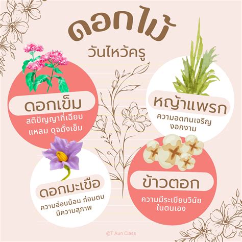 สื่อการสอน T Aun Class วิทยาศาสตร์ ป 3 🚩 พร้อม เฉลย 🌈 สื่อ 3d สื่อป๊อปอัพ แบบจำลอง ใบ