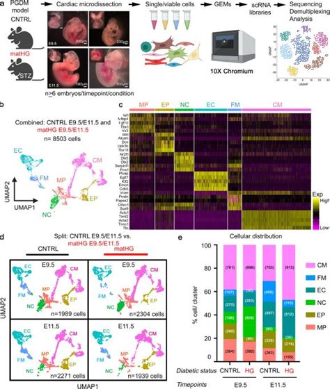 John Barnard Md On Linkedin Single Cell Transcriptomic Profiling