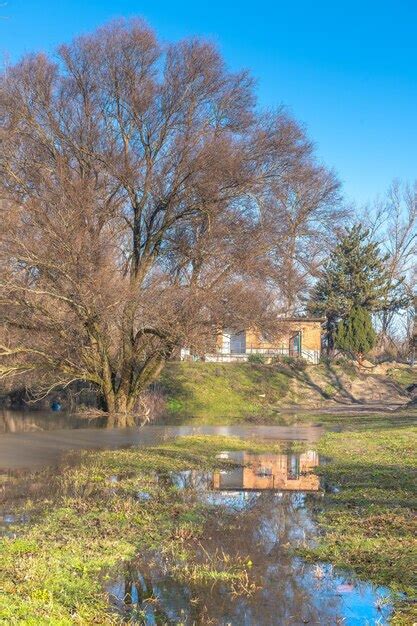 Premium Ai Image The Trees On The River Bank Are Flooded By The River