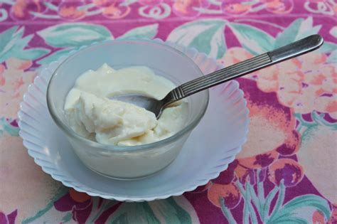 Vanilla Pudding Recipe Bakepedia