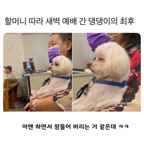 제이크가 말아주는 유머 이런 자식 있으면 얘가 서울대 가도 엄마 스윗 아들 하이힐 지하철 엄마힘들까봐 Instagram