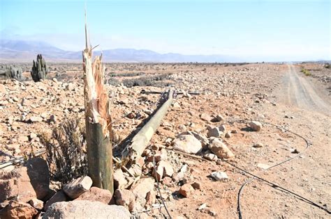 La Higuera Nuevamente Sufre Robo De 4 800 Metros En Cables De Cobre