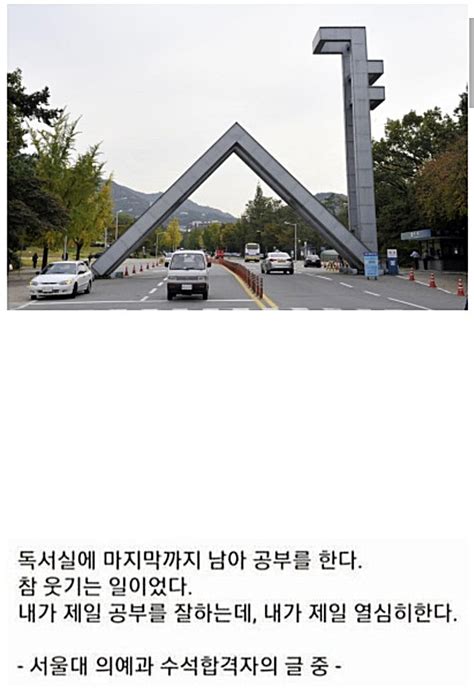 서울대 의예과 수석 합격자의 글 스터디홀릭