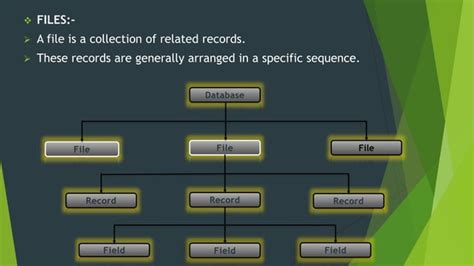 basic of database ppt new pptx