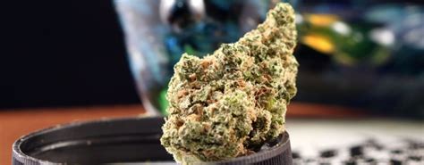 Fruity Pebbles Strain Review Fruity Pebbles Weed
