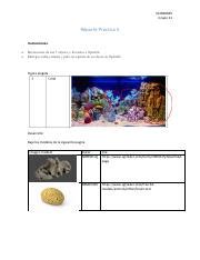Creating Realistic D Objects In Opengl A Step By Step Guide Course Hero
