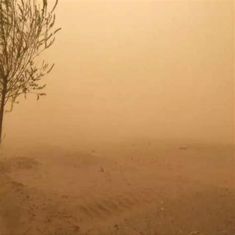 Disaster Set Object Detection Dataset And Pre Trained Model By Test